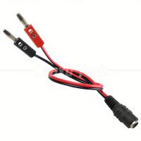 China 12V DC 5.5x2.1mm Male Barrel Jack to 4mm Banana Plug Test Lead Power Cable 0.3M for sale