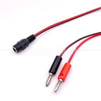 China 12V DC 5.5x2.1mm Male Barrel Jack to 4mm Banana Plug Test Lead Power Cable 0.3M for sale