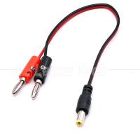 China 12V DC 5.5x2.1mm Male Barrel Jack to 4mm Banana Plug Test Lead Power Cable 0.3M for sale