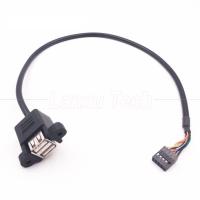China Dual USB 2.0 Type A Panel Mount Cable with 9-Pin Dupont Header - 0.3m Length, CE RoHS Certified for sale
