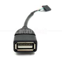 China Custom USB 2.0 Type A Female to 5 Pin Dupont Connector Motherboard Cable 28AWG 0.3M for sale