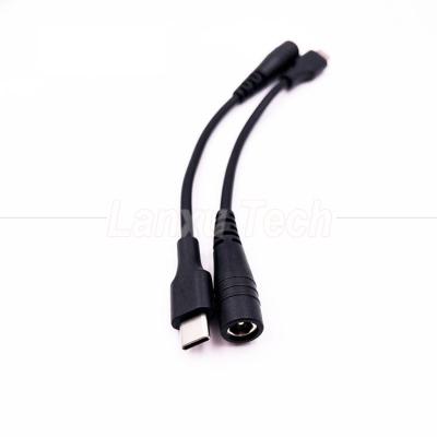 China 5V USB Type C to DC 5.5x2.1mm Power Extension Cable 3A for LED Lamp Fan for sale