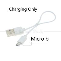 China Short 0.3M 0.5M 1M Micro USB Charger Cable with 2A Fast Charging for Power Banks and Tablets for sale