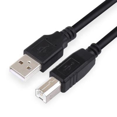 China USB 2.0 Type B to A Male Printer Cable 1m 2m 3m Length for HP Printers and Scanners for sale