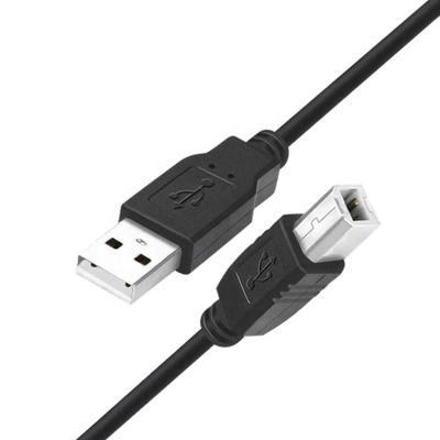 China USB 2.0 Printer Cable 6ft (1.8m) Type A Male to B Male for Scanner Connectivity 480Mbps for sale