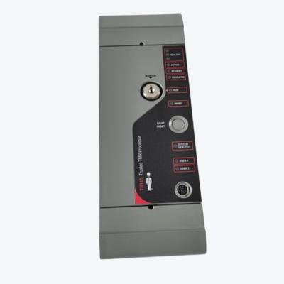 China ICS TRIPLEX T8193C Trusted Power Distribution Module 15-Way Fuse 1.25KG PLC TMR System for sale