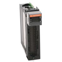 China PLC 1756-L81EP ControlLogix Process Controller Module 0.5kg for sale