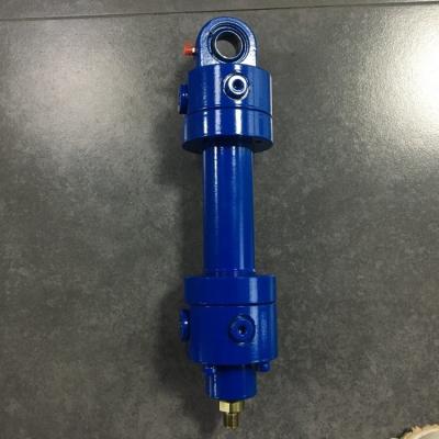 China CDH1MP5/100/56/300A3X/B11CADMZEWABW-P Rexroth Hydraulic Cylinder CDH3 CDM1 CDL1 CDT3 CDH1M CDH2M for sale