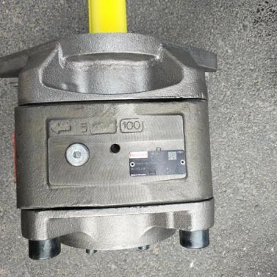China Industrial Quantitative Hydraulic Gear Pump with 350MPA Maximum Load and 250L/min Speed Regulation for sale