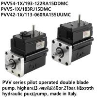 China PVV54-1X/193-122RA15DDMC
PVV5-1X/183RJ15DMC	
PVV42-1X/113-060RA15UUMC PVV series pilot operated double blade pump, high-pressure 210bar, Rexroth hydraulic pump, made in Italy for sale