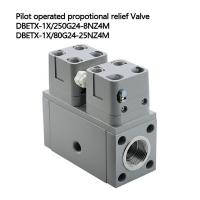 China Pilot operated proportional relief valve imported from Germany by Rexroth DBETX-1X/180G24-8NZ4M  
DBETX-1X/250G24-8NZ4M  
DBETX-1X/80G24-25NZ4M for sale