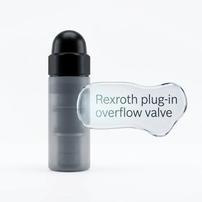China R900424149 DBDS10K1X/200 Plug in overflow valve Rexroth hydraulic valve for sale
