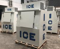 China Gas Station Ice Cooler Upright Solid Door Freezer Ice Storage Bin for sale