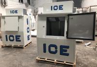China Gas Station Ice Cooler Upright Solid Door Freezer Ice Storage Bin for sale