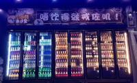 China Bar Vertical Refrigerated Cooler Beer Bottle Display Fridge for sale