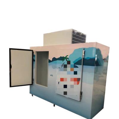 China Used outdoor ice bag storage freezer for sale,100 Cu. Ft. Double Doors Cold Wall Type for sale