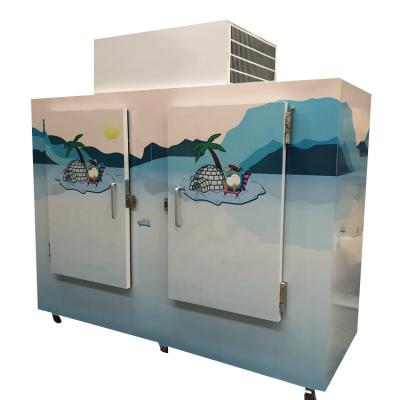 China Large Capacity 1000L Ice Storage Bagged Freezer Refrigerator with 2 Doors for sale