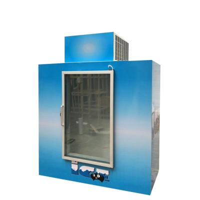 China Upright Bagged Ice Storage Bin with Single Glass Door for sale