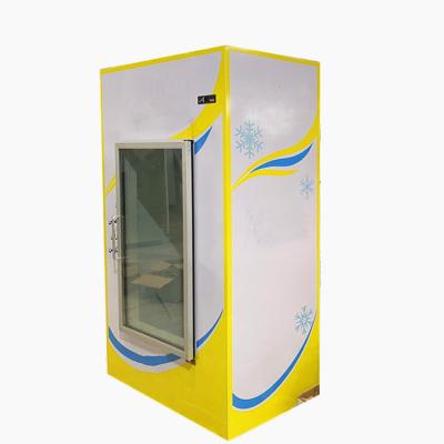 China Single Door Ice Storage Freezer Ice Merchandiser for Indoor CE for sale
