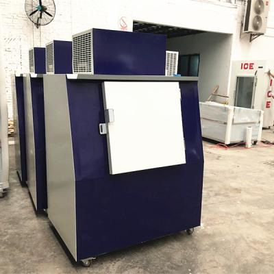 China Commercial ice cube storage freezer, outdoor ice cooler bag storage freezer for sale