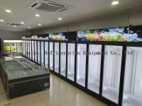China Glass Door Upright Display Freezer with CE for sale