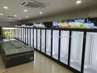 China Commercial Glass Doors Vertical Freezing Showcase Upright Freezer for sale