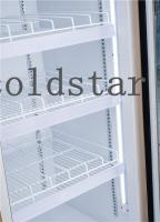 China Customized Supermarket Upright Freezer For Frozen Food Display for sale