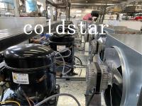 China Professional Display Chiller Double Door Display Refrigerator Freezer for sale