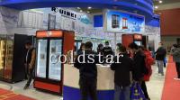 China Double Door Upright Ice Cream Display Freezer With Automatic Defrost Glass Door for sale