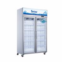 China Top mounted compresor vertical display freezer with high quality for supermarket for sale