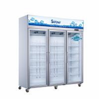 China Display pepsi freezer 500l double glass doors cold showcase display refrigerator freezer for sale