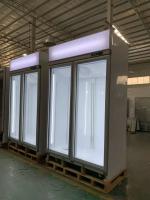 China Professional Display Chiller Double Door Display Refrigerator Freezer for sale