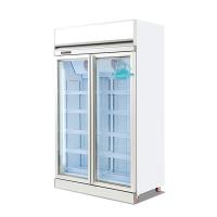 China Customized Supermarket Upright Freezer For Frozen Food Display for sale