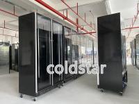 China Commercial Upright Beer Bottle Diplay Fridge Beverage Cooler for sale