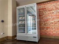 China R134A Cold Drink Coolers 2 Glass Doors Refrigerator for sale
