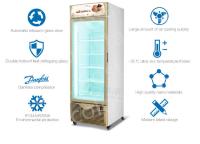 China Vertical Upright Display Showcase Freezer For Ice-Cream & Frozen Products for sale