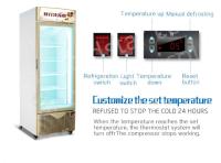 China Vertical Upright Display Showcase Freezer For Ice-Cream & Frozen Products for sale