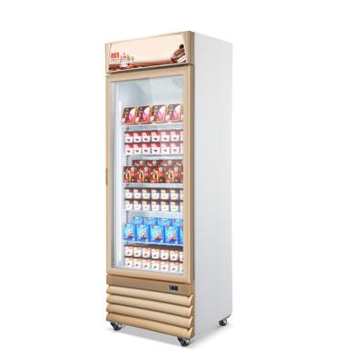China Commercial Frost Free Glass Door Upright Freezer For Ice Cream for sale