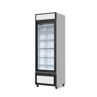 China -22C 450L Commercial Freezers Upright Ice Cream Fridge Showcase for sale