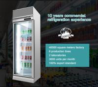 China Upright 450L Freezing Ice Cream Glass Door Showcase Freezer for sale