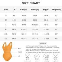 China Custom Logo Sustainable Women's One Piece Bikini Swimsuit for Sexy Look and Plus Size for sale