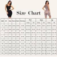 China HEXIN Breathable Women Slimming Bodyshaper Free Cut Design Butt Lifter 3D Embroidery Customizable for sale