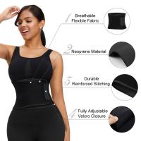 China 2020 Women's Waist Trainer Neoprene Waist Trimmer Quick Dry by HEXIN OEM Service for sale