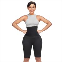 China High Waist Panty Shaper Body Shaper Slimming Women Waist Tainer Belt HEXIN Quick Dry for sale