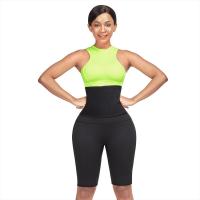 China High Waist Panty Shaper Body Shaper Slimming Women Waist Tainer Belt HEXIN Quick Dry for sale