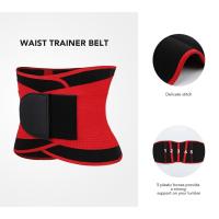 China Standard Thickness Waist Trimmer Waist Trainer for Women's Slimming and Fat Burning for sale