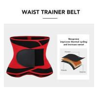China Standard Thickness Waist Trimmer Waist Trainer for Women's Slimming and Fat Burning for sale