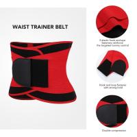 China Fat Burning Shapers HEXIN Dropshipping Medium Control Waist Trimmer for Tummy Control for sale