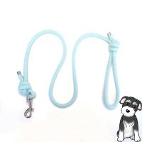 China Cotton Braided Slip Lead Dog Leash with Zinc Alloy Hook for sale
