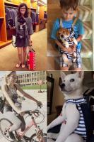China Small and Medium Dogs Multi-Function Pet Sport Sack Dog Carrier Backpack for sale